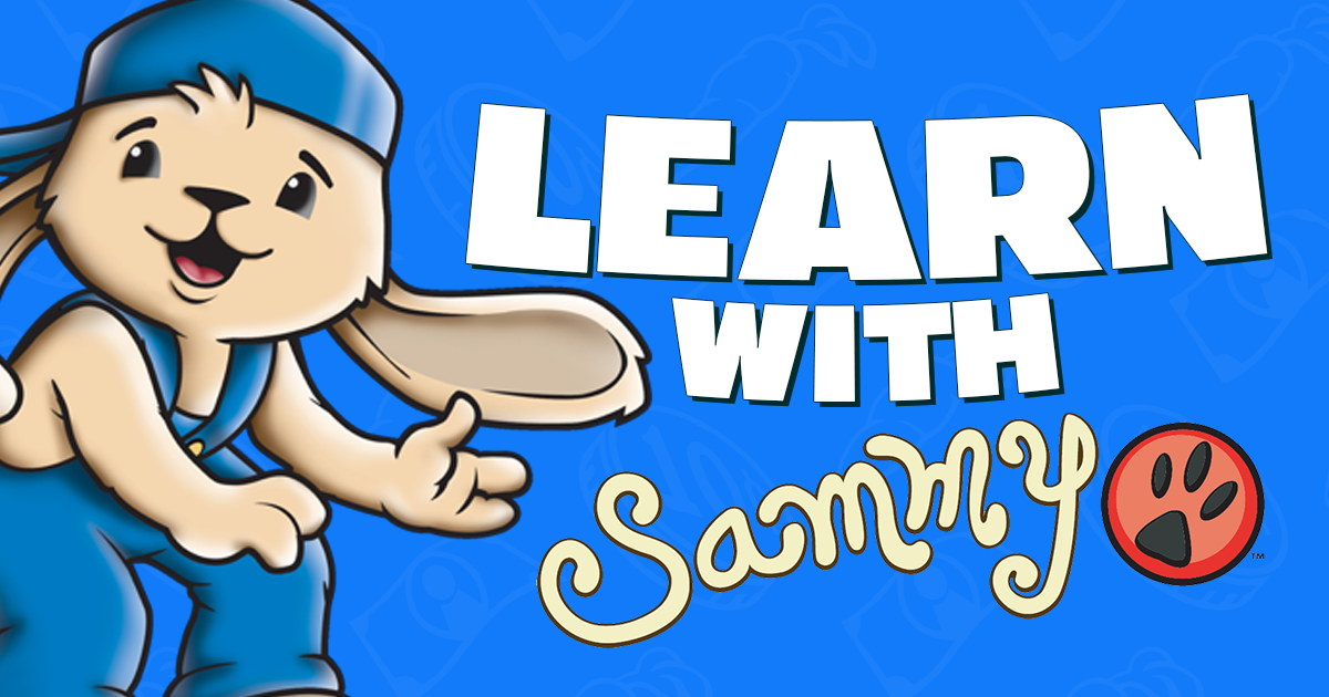 What Mom Says 1 Year After Sammy Experience - Sammy Rabbit